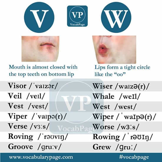 Difference Between V And W Vocabulary Home