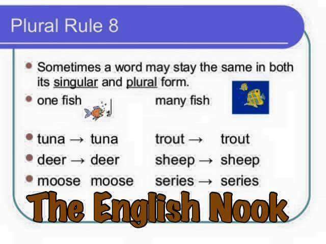 Plural Rules English Grammar Vocabulary Home Plural Rules English Grammar Vocabulary Home